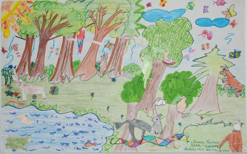 Costa Rica rainforest-2 - The London International Gallery of Children ...